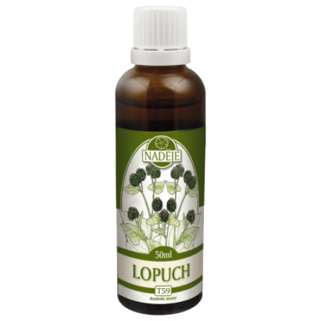 Z bylinného herbáře - Lopuch větší a jeho přínos zdraví