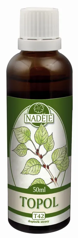 Topol černý (T42) NADĚJE
